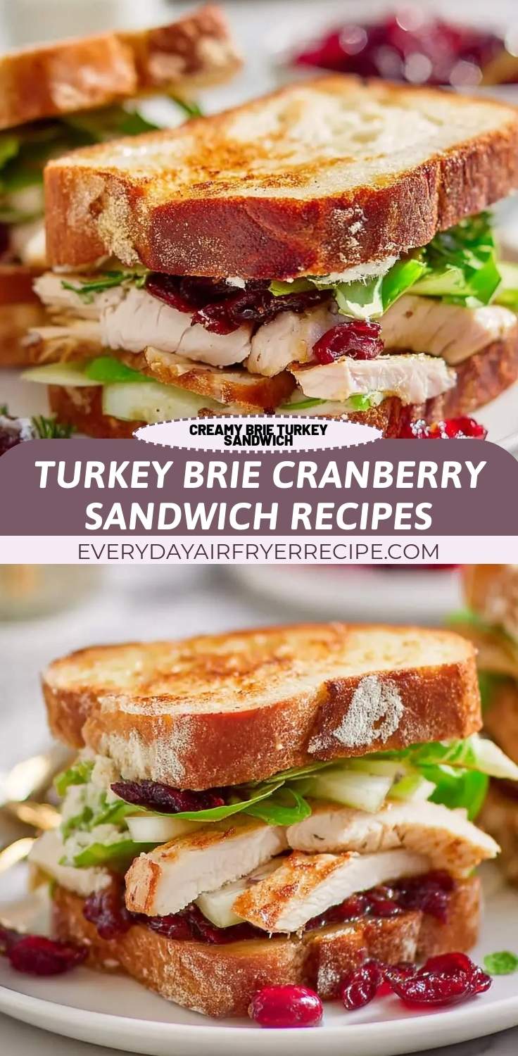 Turkey Brie Cranberry sandwich recipes